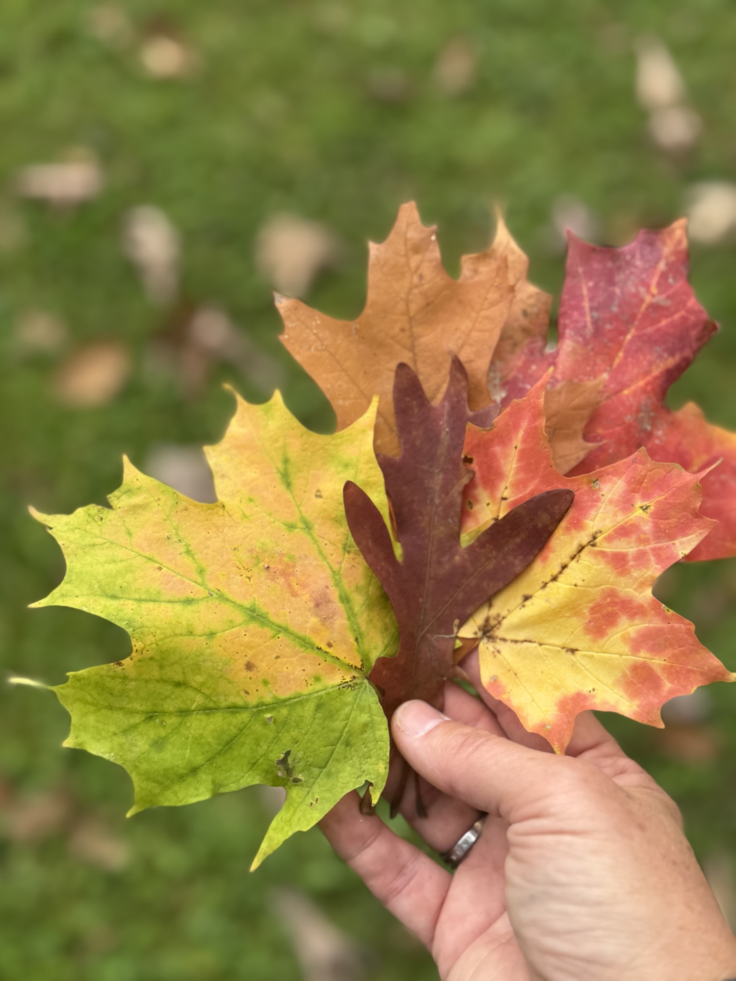 Gratitude: Look at Nature – Inspiring Light Through the Cracks